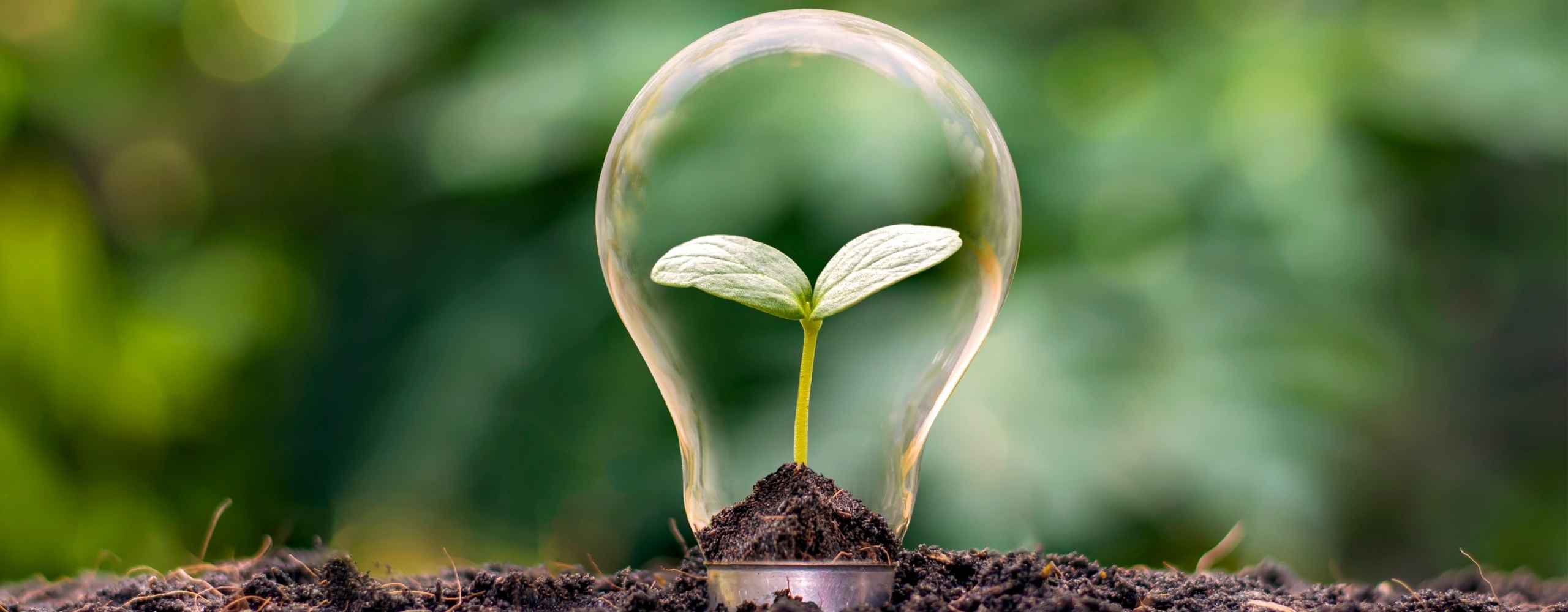 Kom grønt igennem energikrisen | DRC